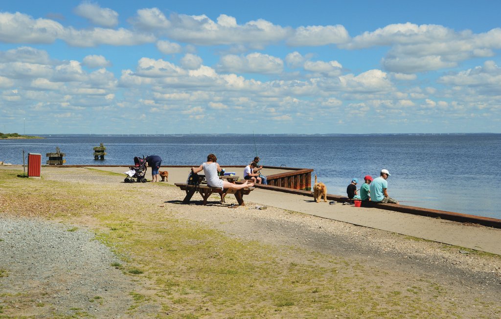 Feriehuse - Søndervig Strand , Danmark - A4004 | Dansommer