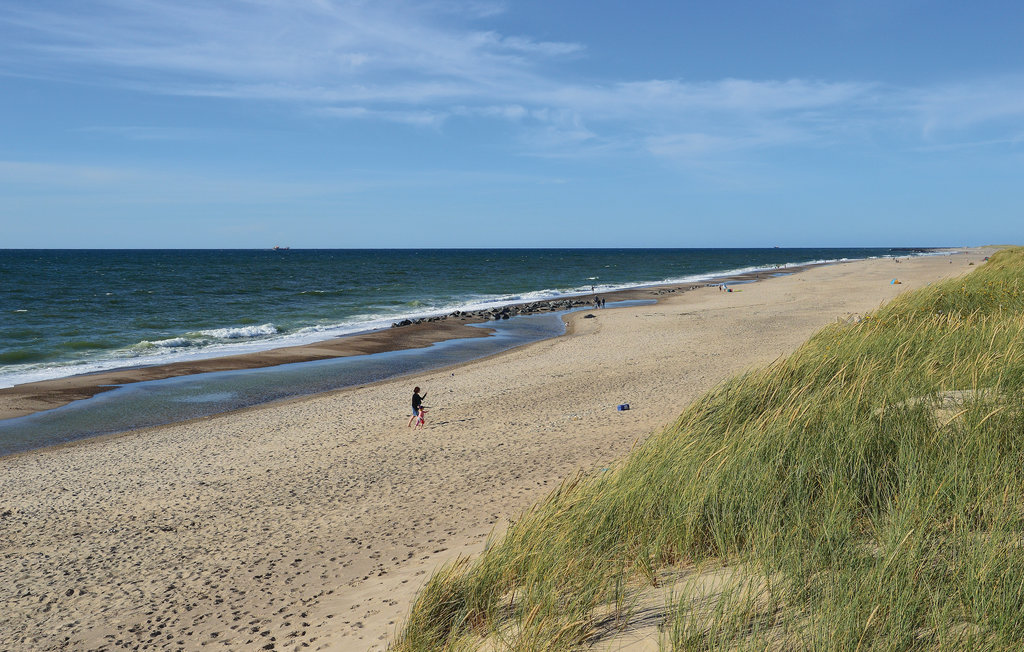 Ferienhaus - Vrist , Dänemark - C79211 | Dansommer