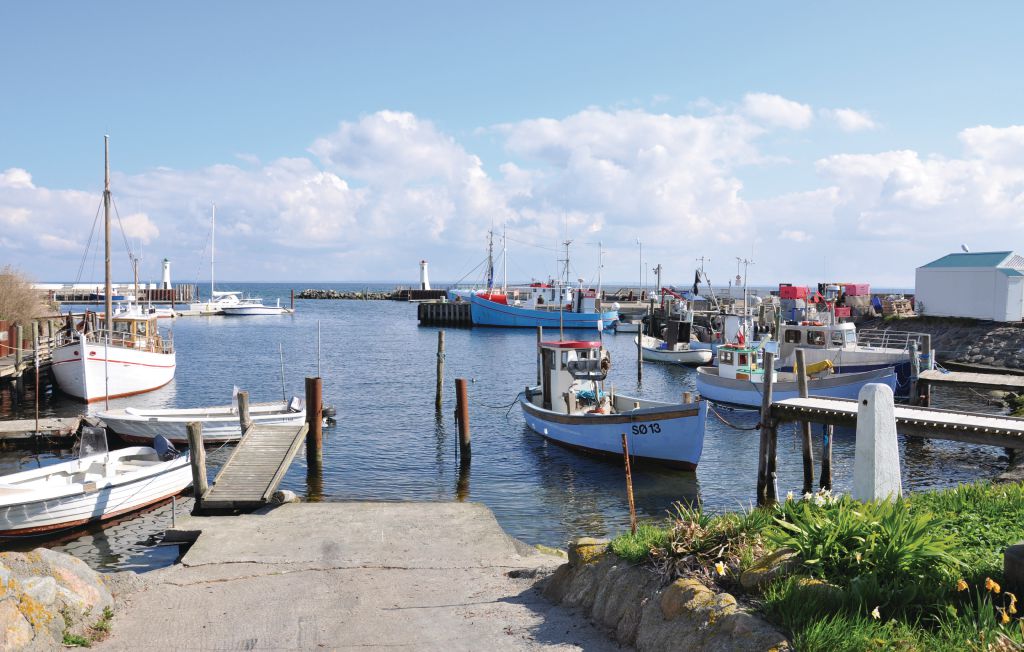 Feriehuse - Mommark , Danmark - F09336 | Dansommer